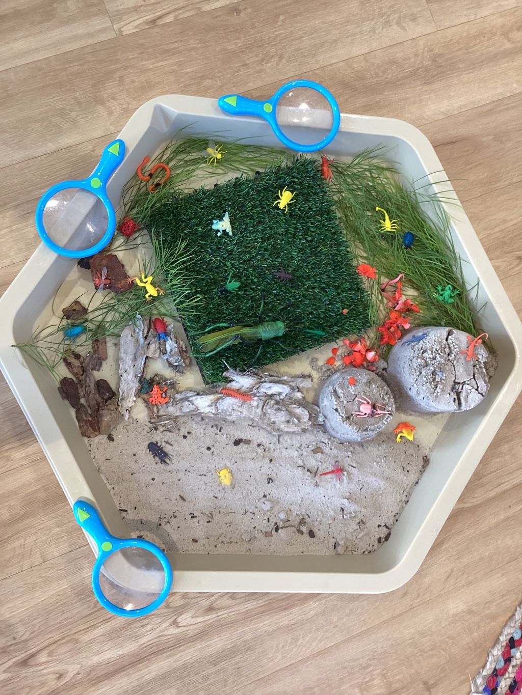 The Insect Hunt - Learning Ladder