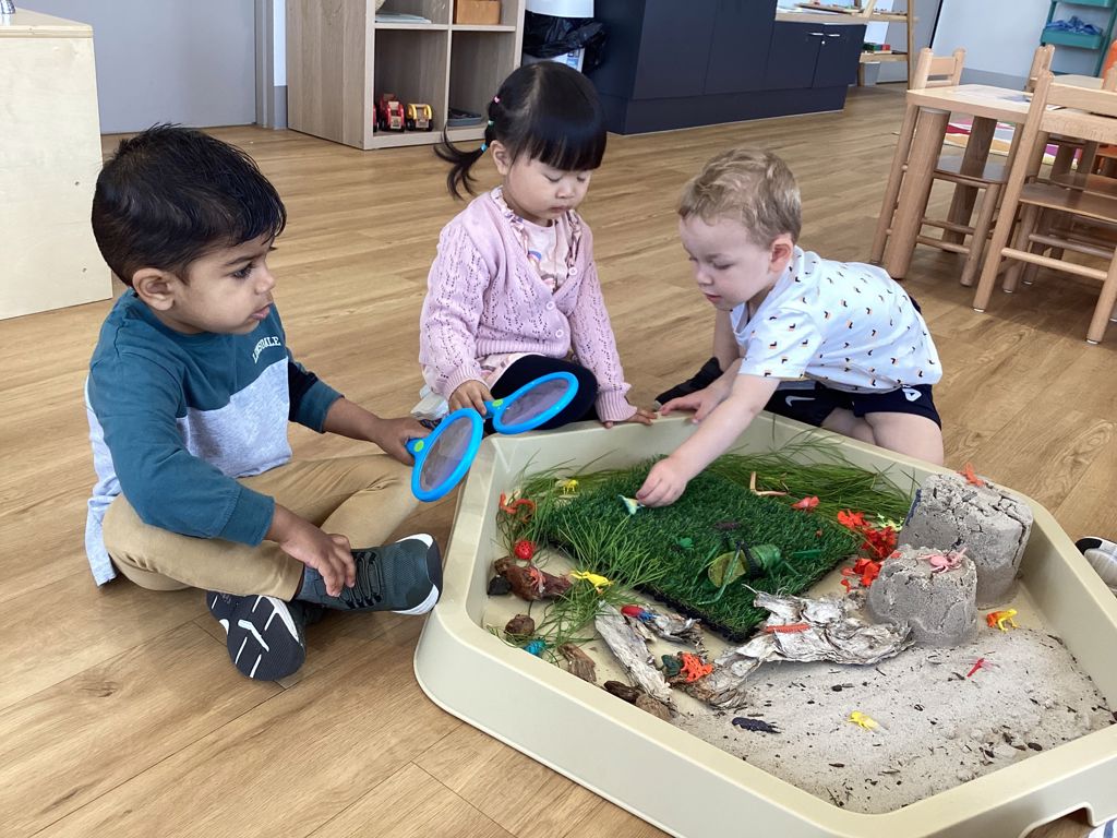 The Insect Hunt - Learning Ladder