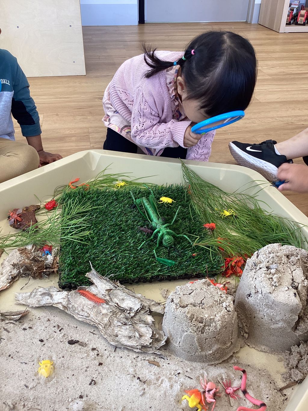 The Insect Hunt - Learning Ladder